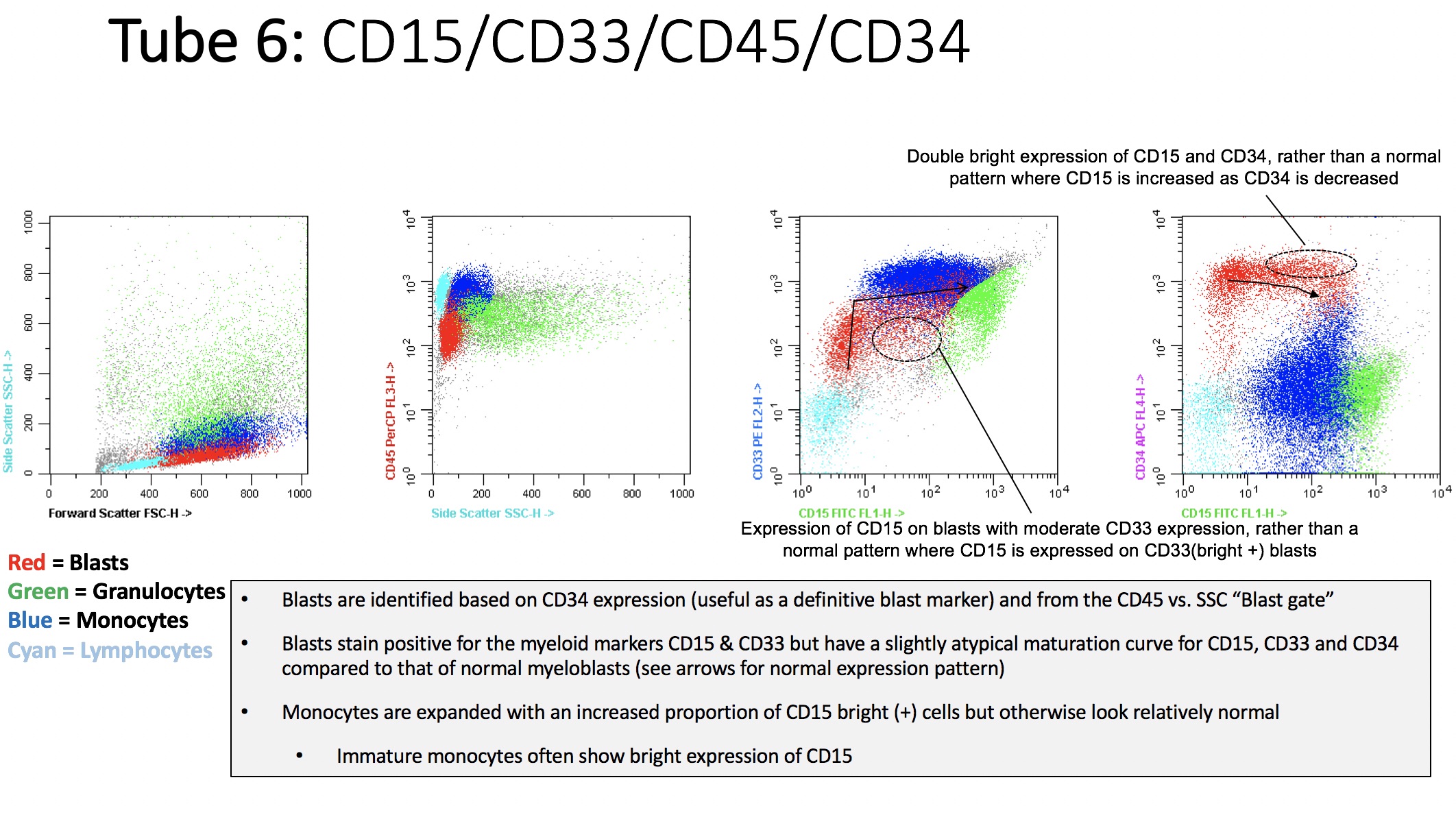 ICCS e-Learning Case Study
