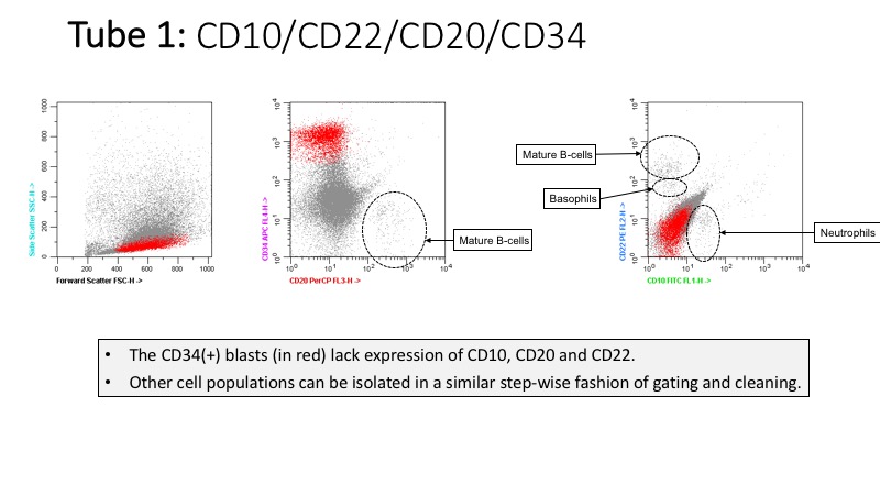 ICCS e-Learning Case Study