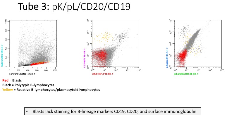 ICCS e-Learning Case Study