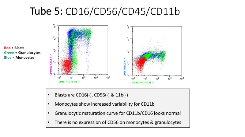 ICCS e-Learning Case Study