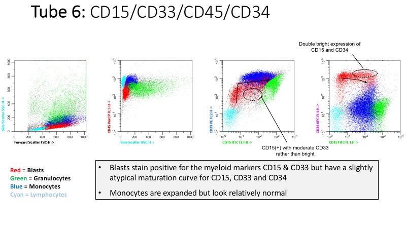ICCS e-Learning Case Study