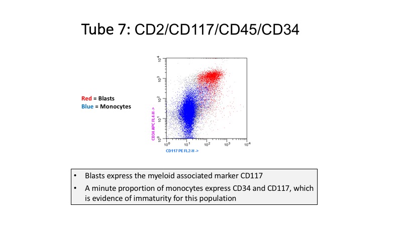 ICCS e-Learning Case Study