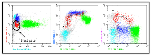 ICCS e-Learning Case Study
