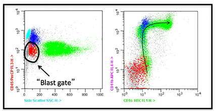 ICCS e-Learning Case Study