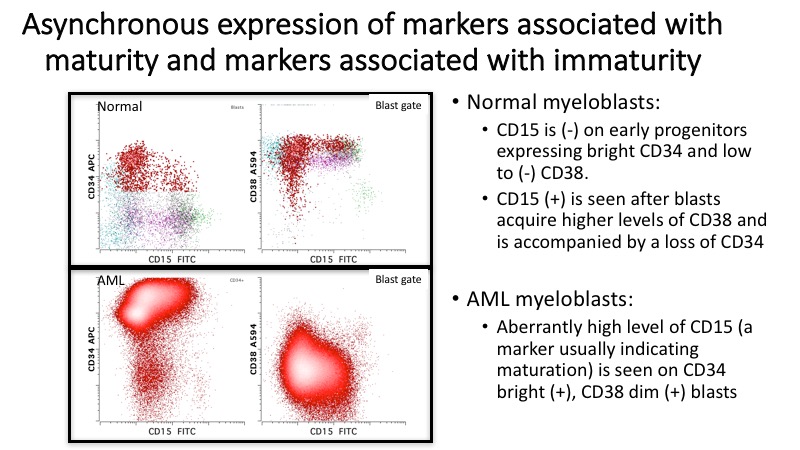ICCS e-Learning Case Study