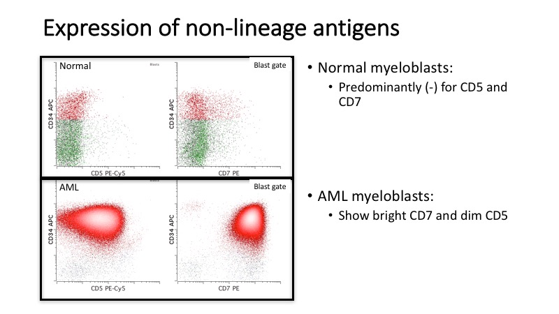 ICCS e-Learning Case Study