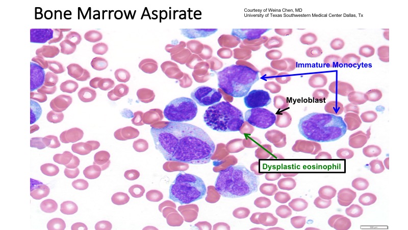 ICCS e-Learning Case Study