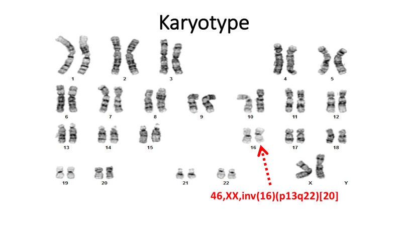 ICCS e-Learning Case Study