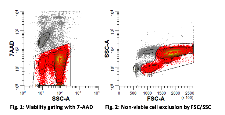 International Clinical Cytometry Society