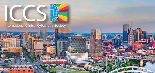 International Clinical Cytometry Society