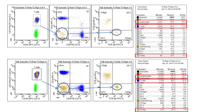 International Clinical Cytometry Society