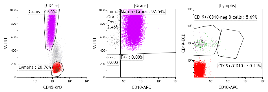 International Clinical Cytometry Society