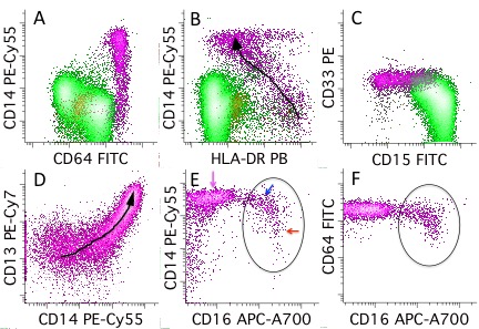 International Clinical Cytometry Society