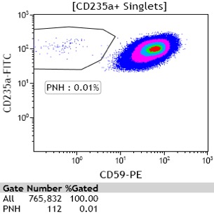 International Clinical Cytometry Society