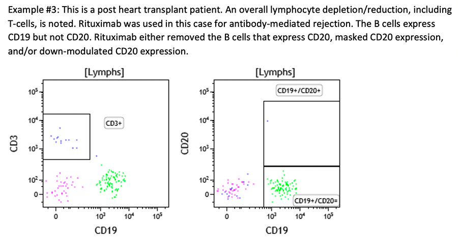 International Clinical Cytometry Society