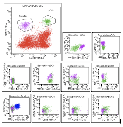 International Clinical Cytometry Society