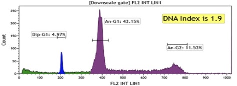 International Clinical Cytometry Society