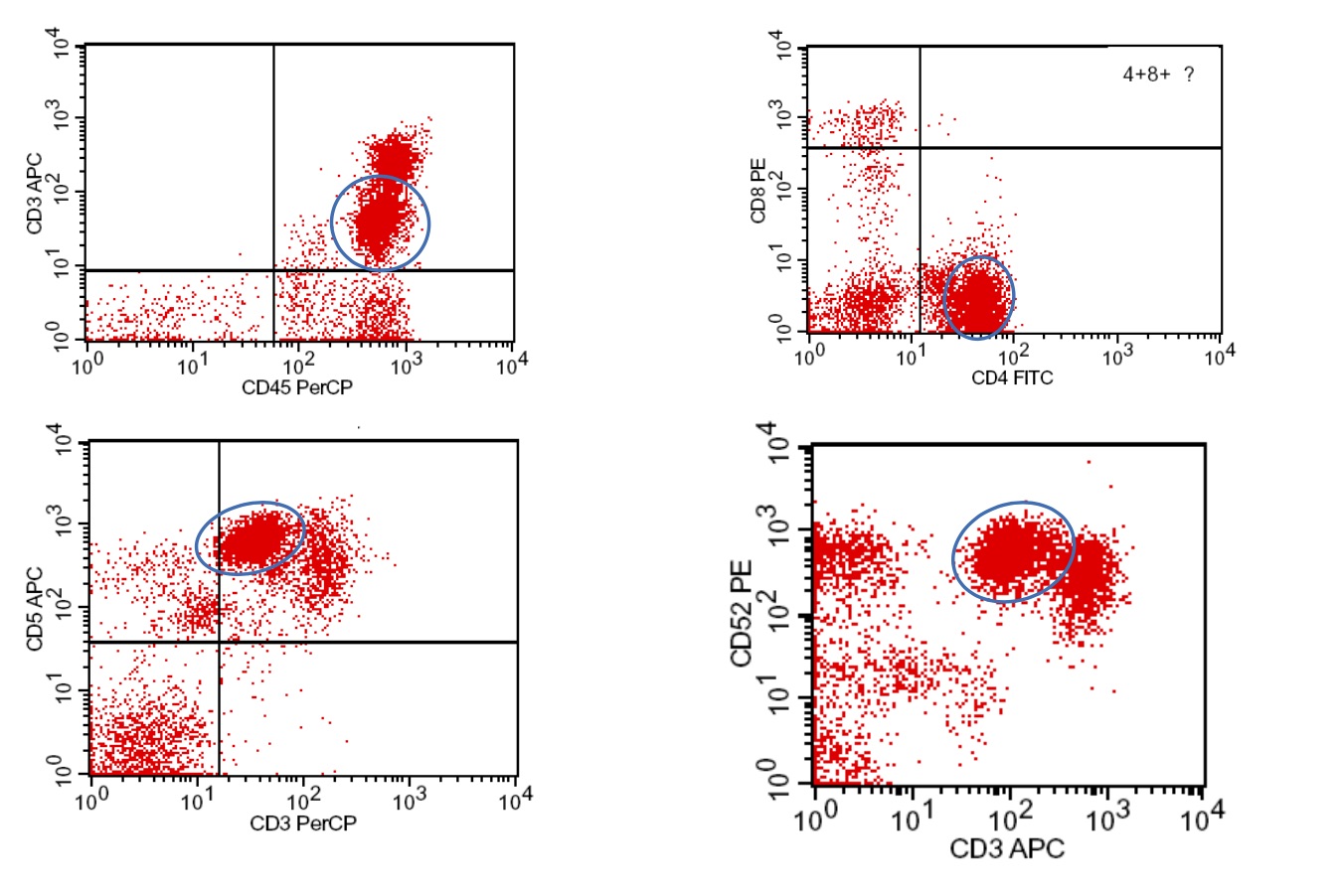 International Clinical Cytometry Society