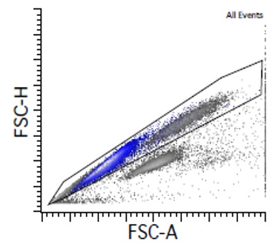 International Clinical Cytometry Society