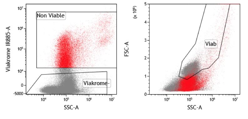 International Clinical Cytometry Society
