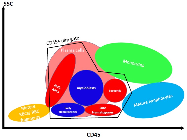 International Clinical Cytometry Society