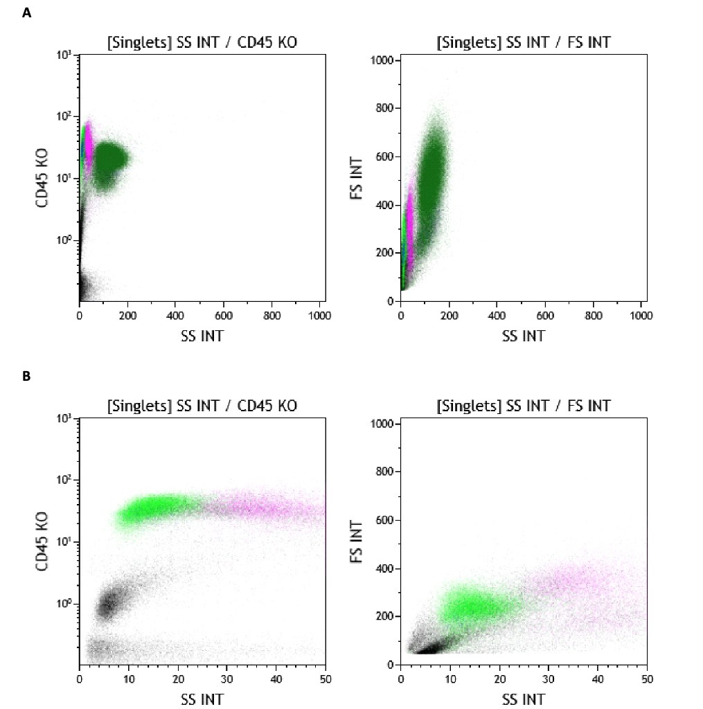 International Clinical Cytometry Society