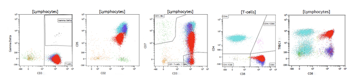 International Clinical Cytometry Society