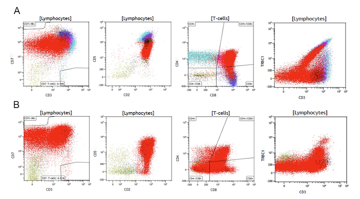 International Clinical Cytometry Society