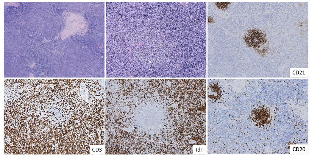 International Clinical Cytometry Society