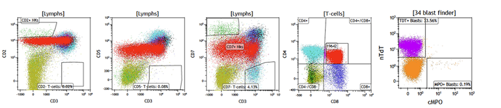 International Clinical Cytometry Society