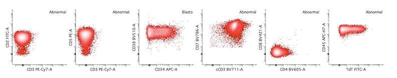 International Clinical Cytometry Society