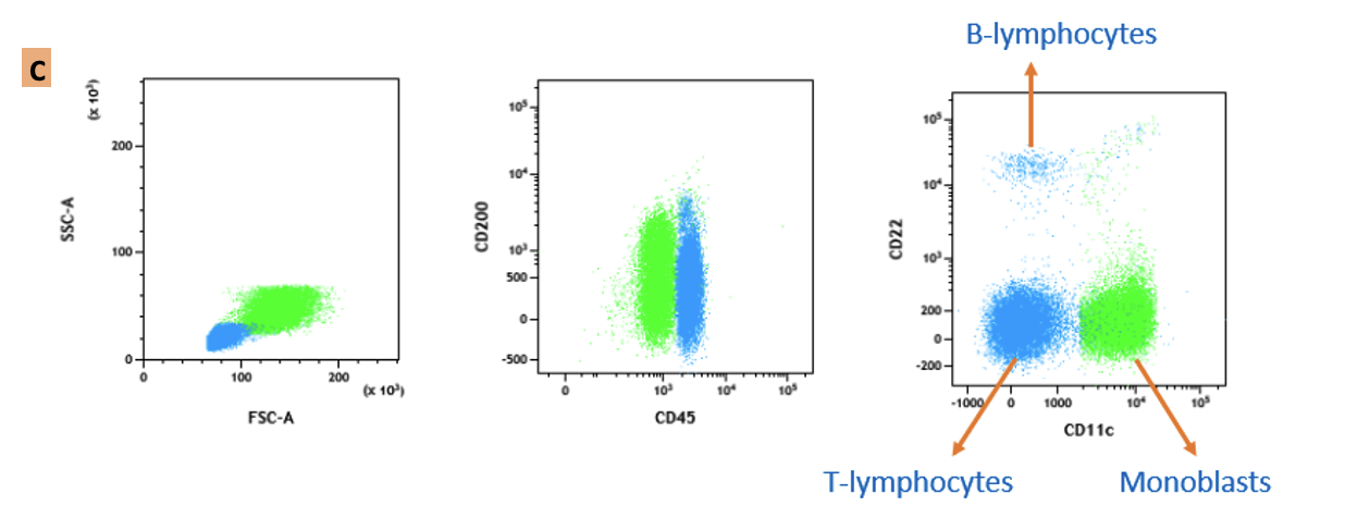 International Clinical Cytometry Society