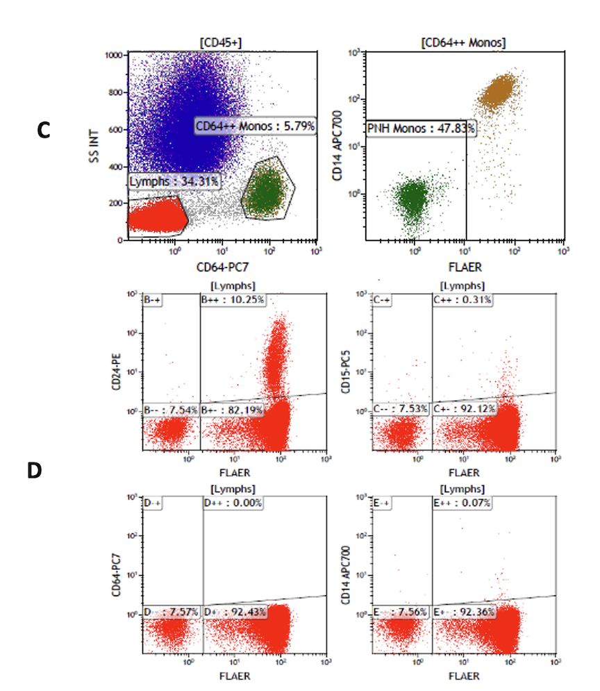 International Clinical Cytometry Society