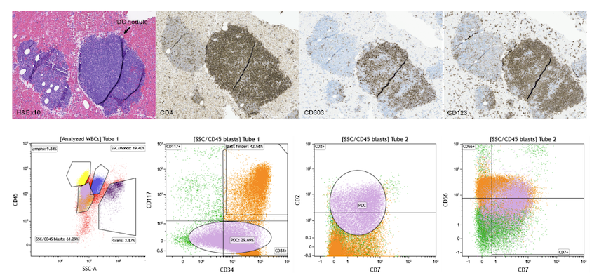 International Clinical Cytometry Society