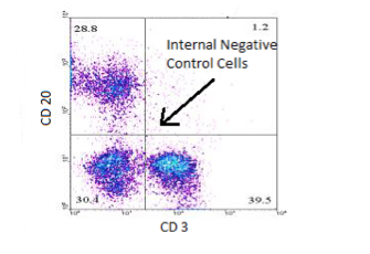 International Clinical Cytometry Society